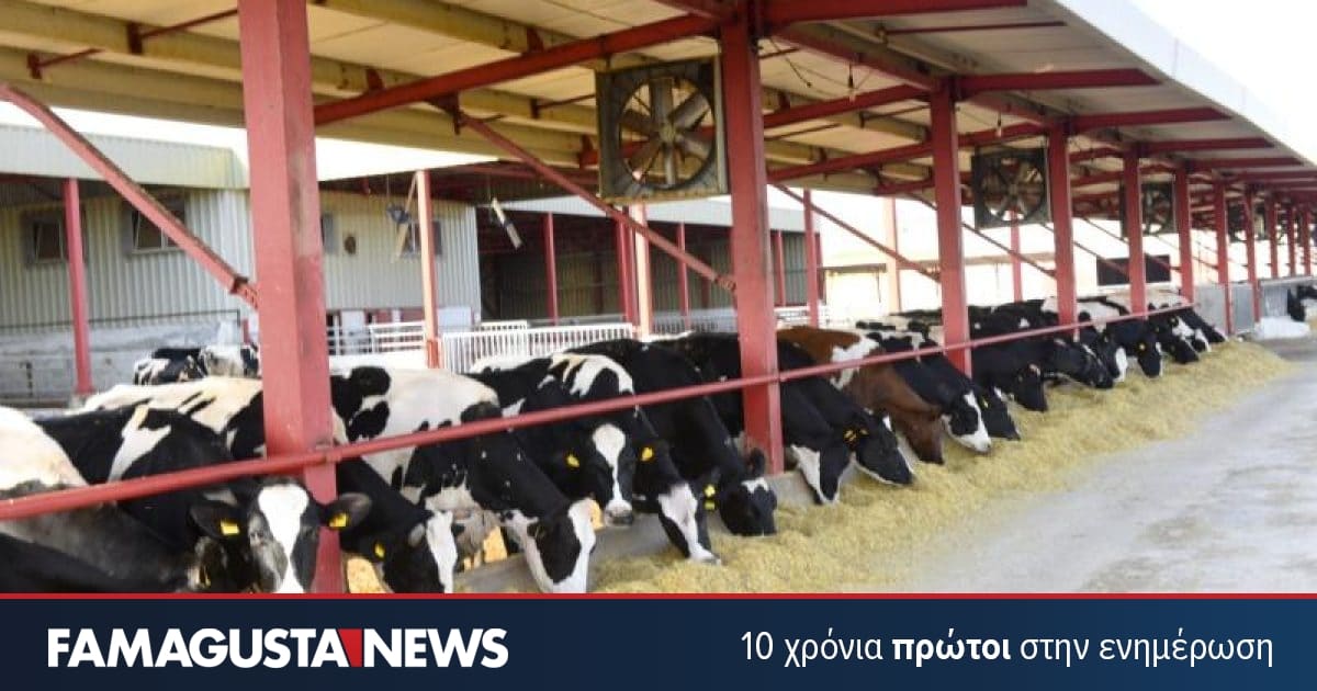 ΑΥΓΟΡΟΥ: Δημόσια ακρόαση για αδειδότηση κτηνοτροφικής μονάδας ...