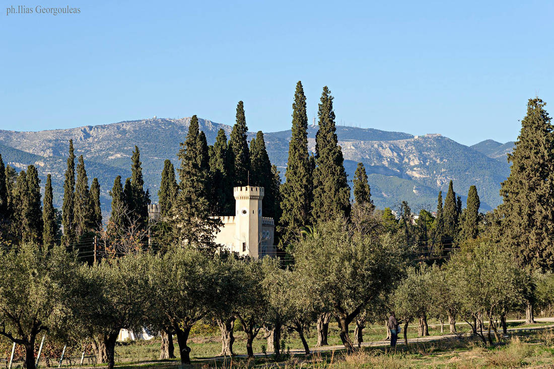 Ο Πύργος της Βασίλισσας Αμαλίας στο Ίλιον - Famagusta News