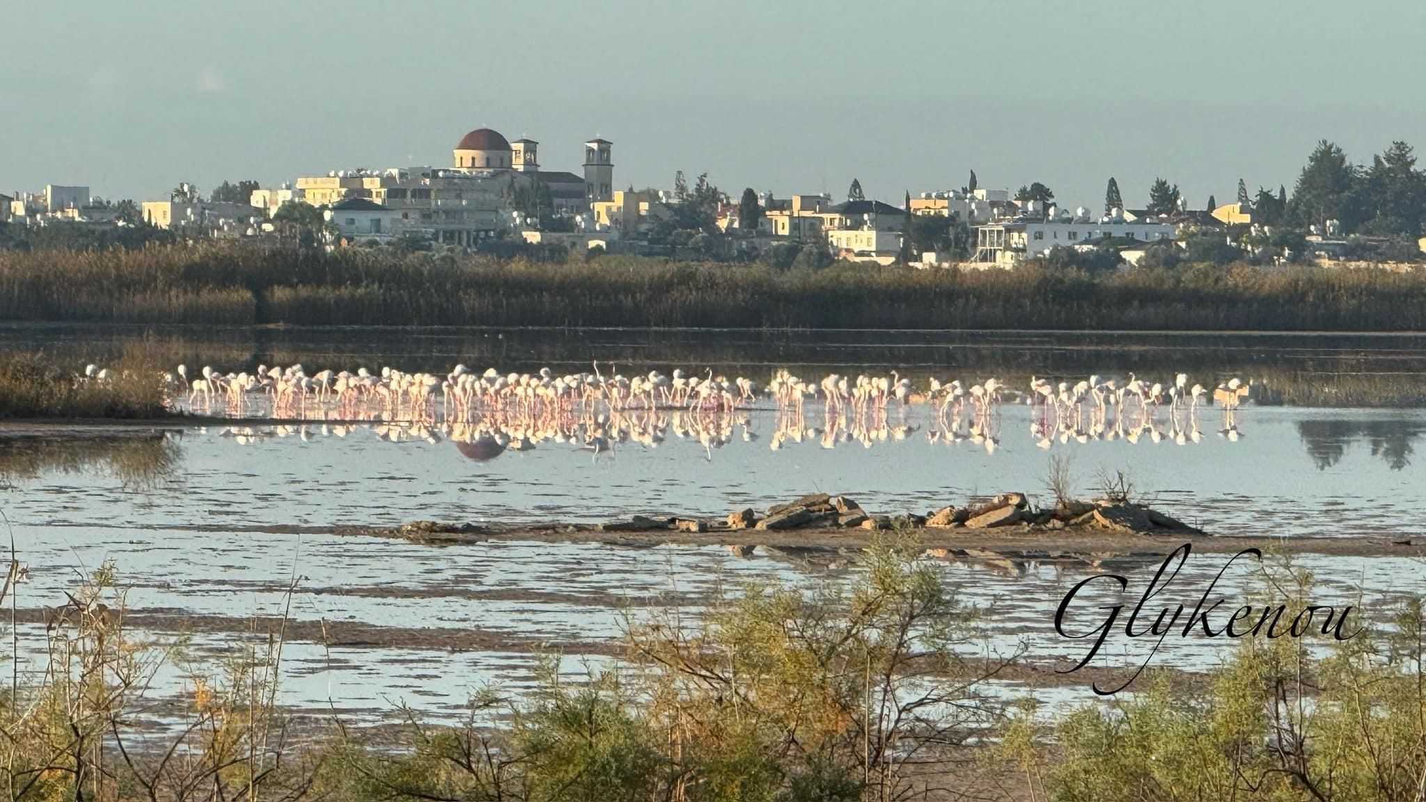 Επέστρεψαν τα φλαμίνγκο στην Λίμνη Παραλιμνίου – Εντυπωσιακές εικόνες ...