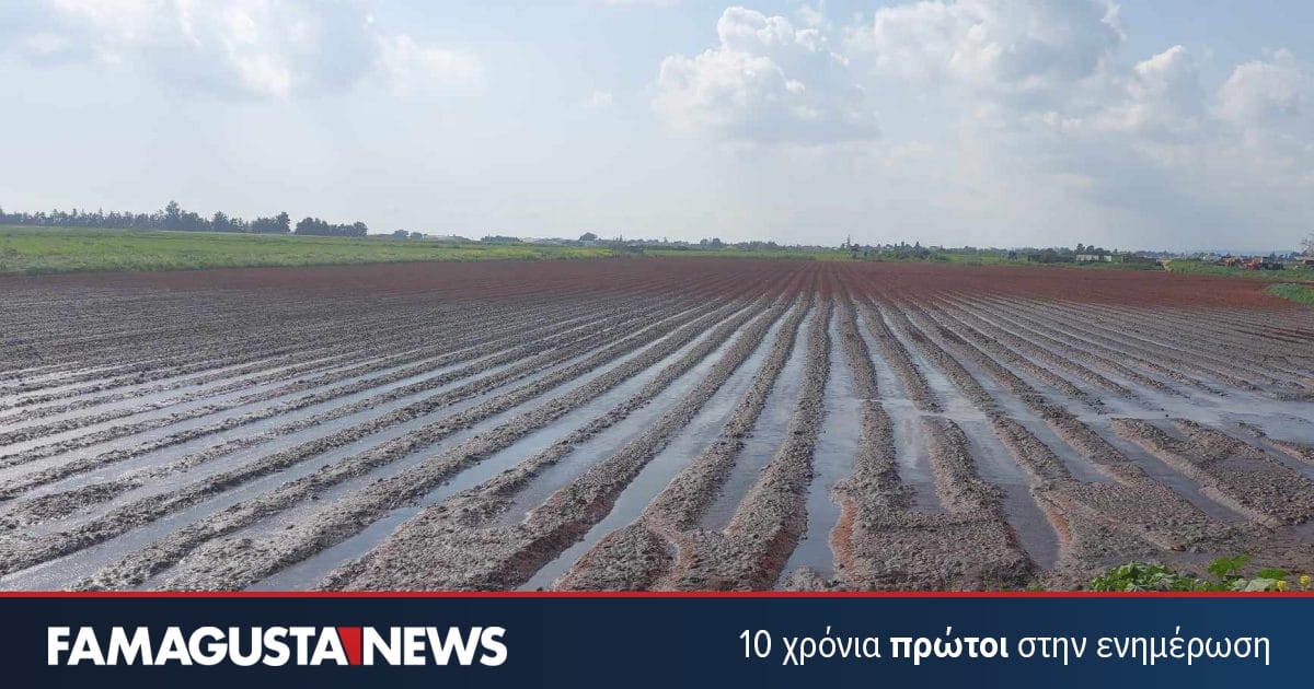 ΔΑΣΑΚΙ ΑΧΝΑΣ: Οι αποφάσεις του Υπουργείου Γεωργίας μετά τη διαρροή ...